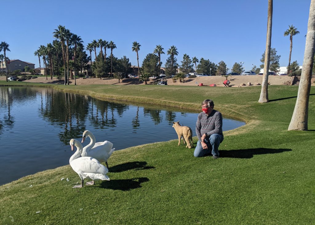 Swan Cam – Chimera Golf Club